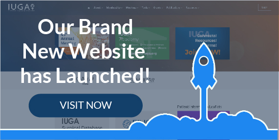 International Urogynecological Association